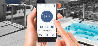 Dynasty Spas - Motor City Hot Tubs